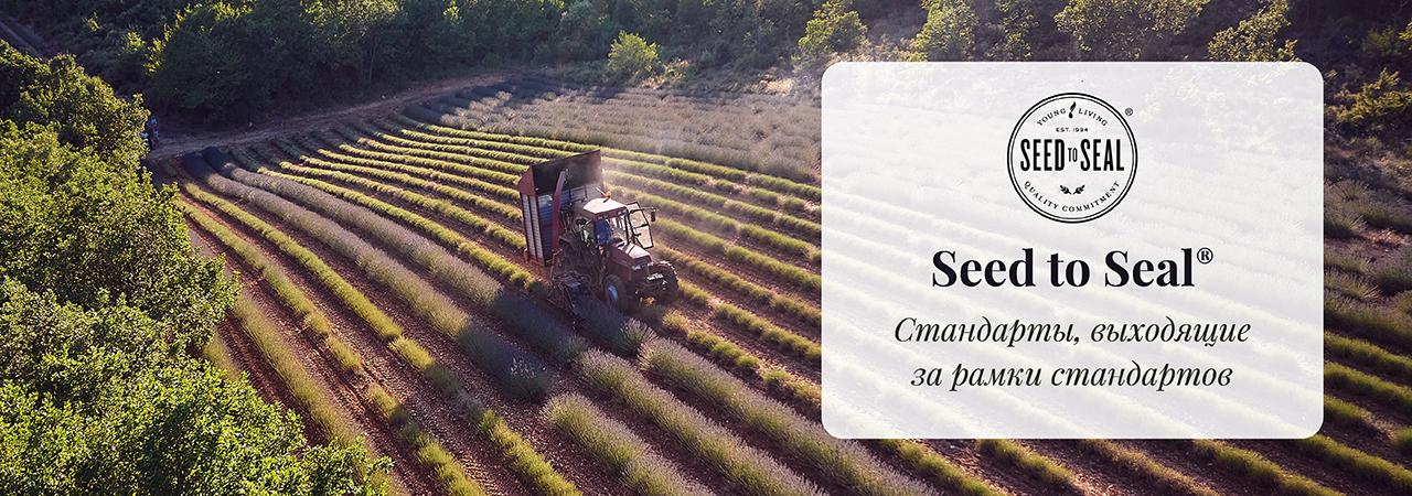 Эфирные масла и ароматерапия | Young Living Essential Oils