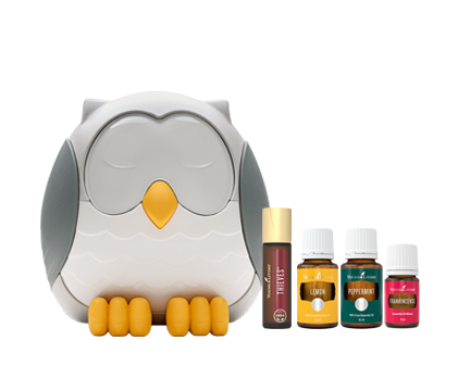 Owl young living store